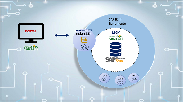 Sementes Santa Fé- Integração SAP Business One e Portal de Vendas ...